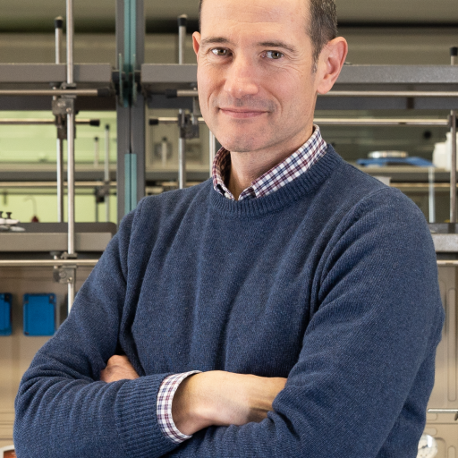 Scienze chimiche di base